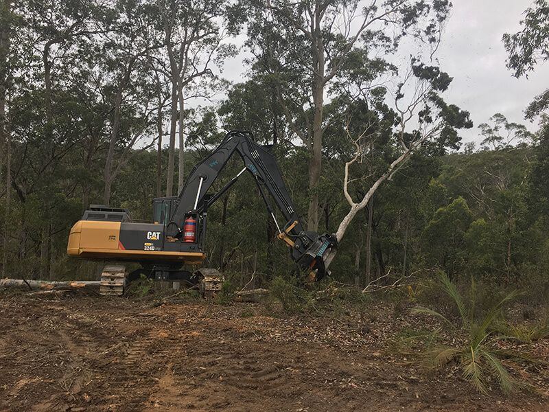 Pulpmate 652 Forestry Head To Suit A 30 Tonne Machine Base And Above. Hardwood Forest Products ...